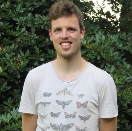 Thijs Gerritsen over bijen