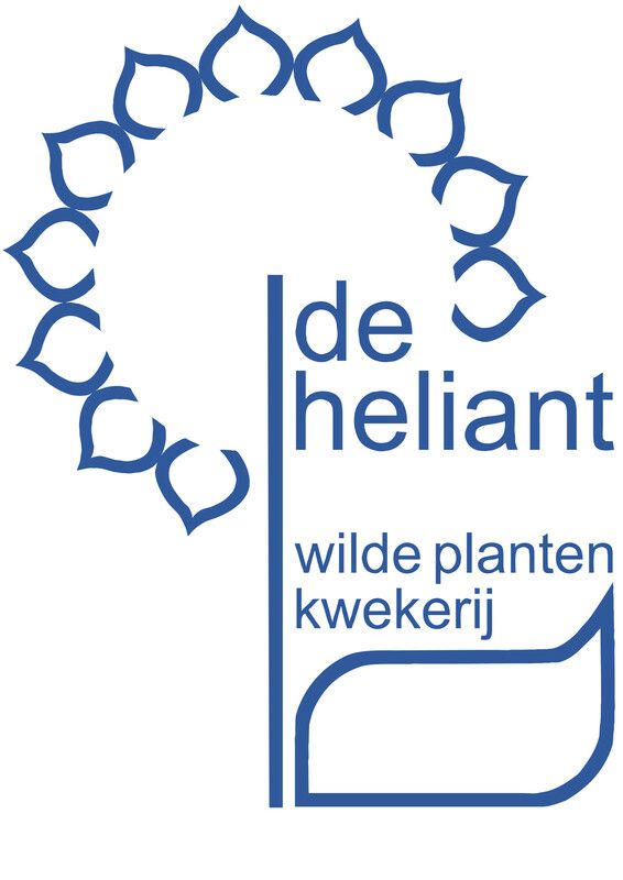 De Heliant