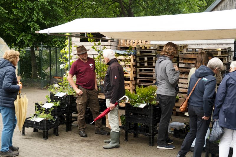 Open Dag 2025